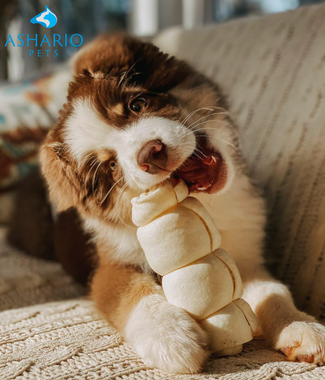 The Pros and Cons of Beef Cheek Rolls – AsharioPets